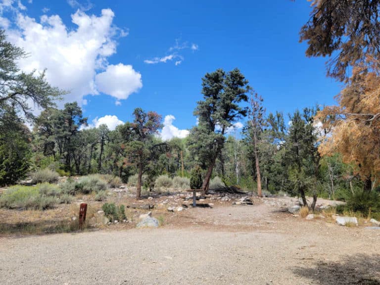 Grey Cliffs Campground - Great Basin National Park | Park Ranger John
