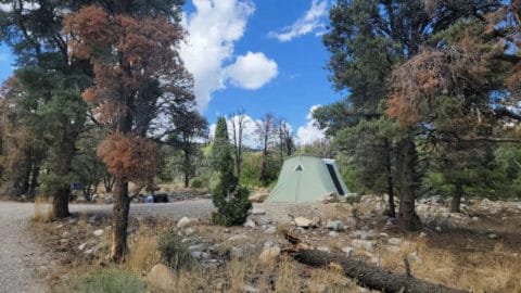 Grey Cliffs Campground - Great Basin National Park | Park Ranger John