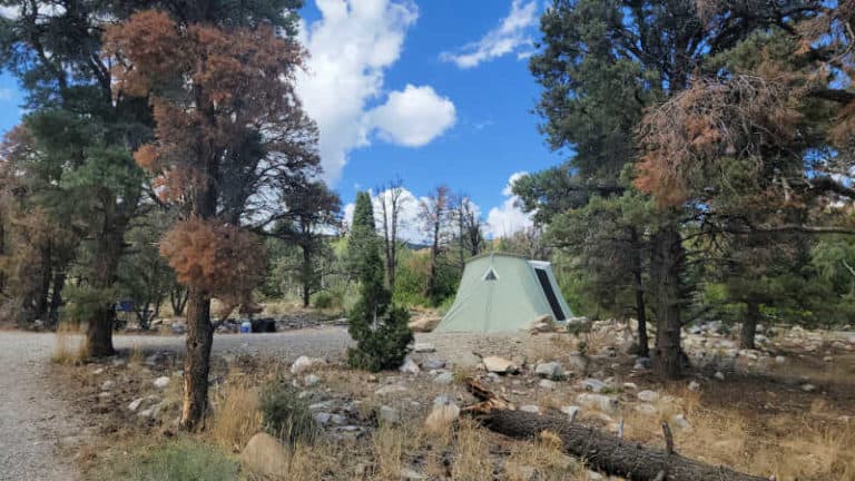 Grey Cliffs Campground - Great Basin National Park | Park Ranger John