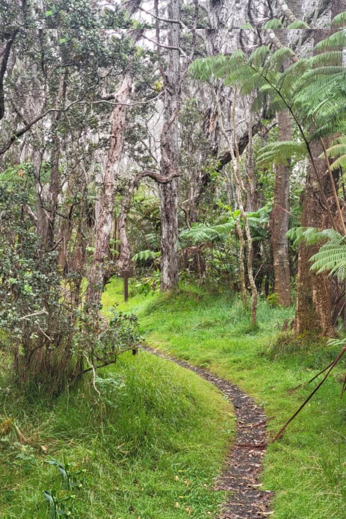 Hawaii Volcanoes National Park Hikes | Park Ranger John