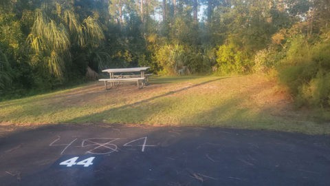 Long Pine Key Campground - Everglades National Park (Video) | Park ...