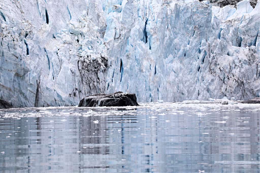 Glacier Bay Boat Tour - Glacier Bay National Park | Park Ranger John