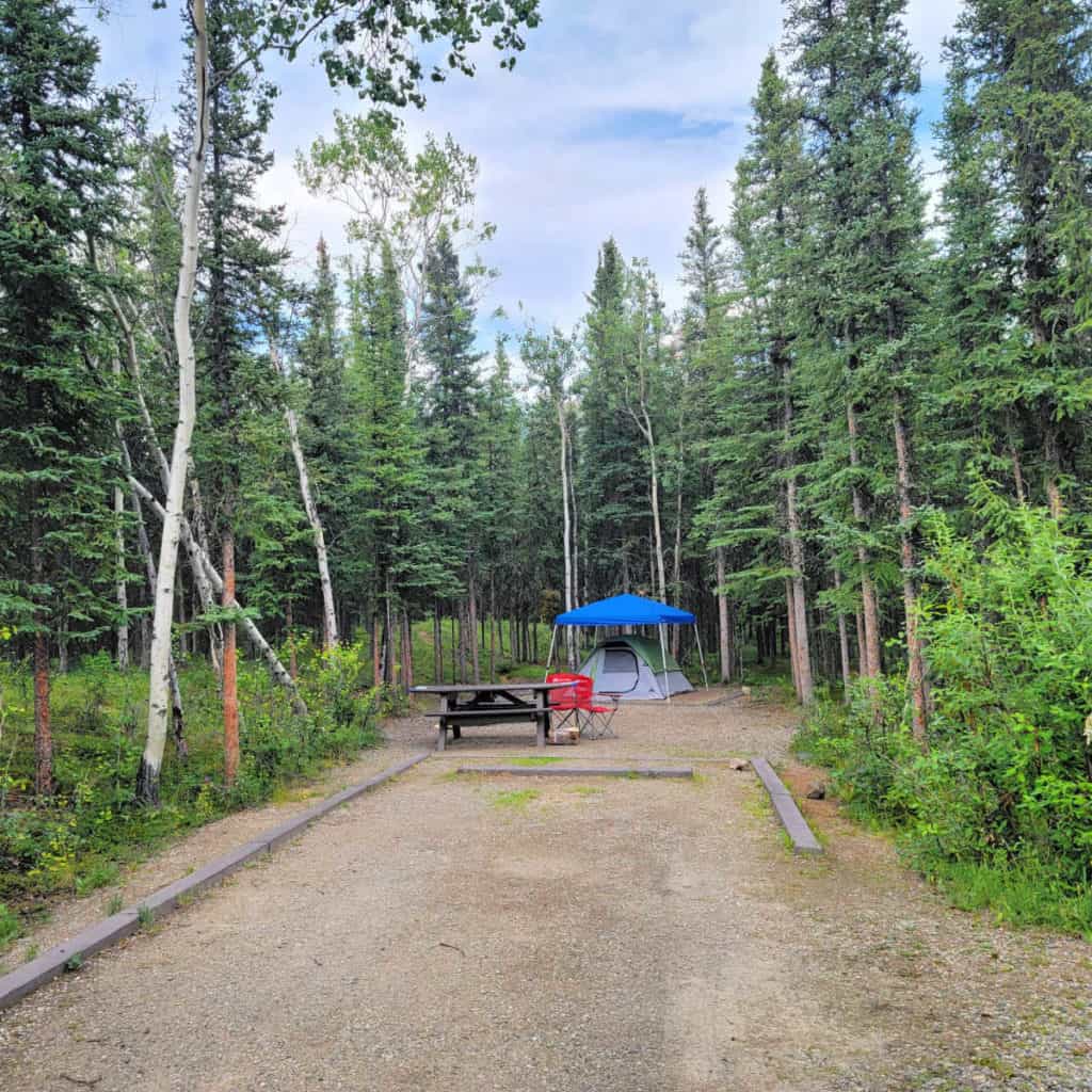 Riley Creek Campground - Denali National Park (Video) | Park Ranger John