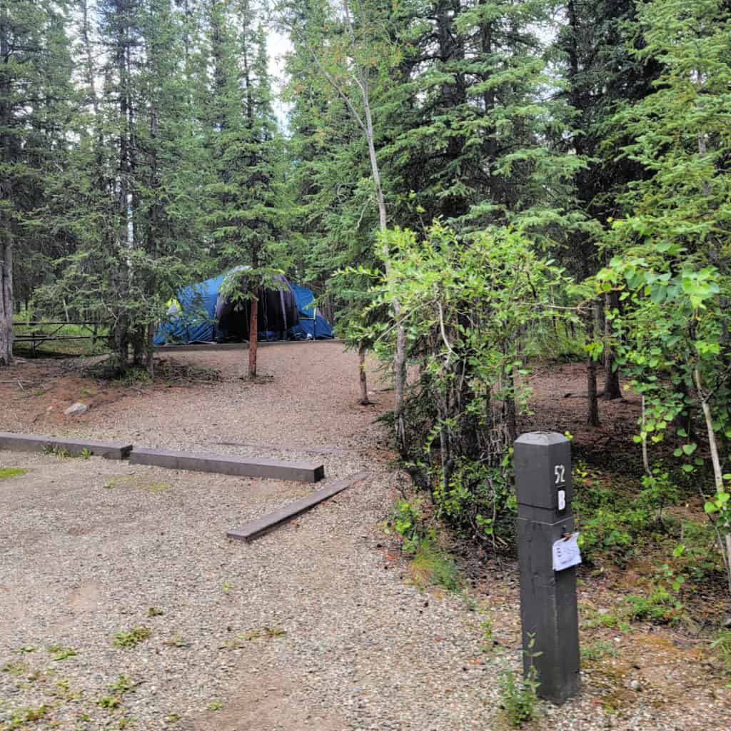Riley Creek Campground - Denali National Park (Video) | Park Ranger John