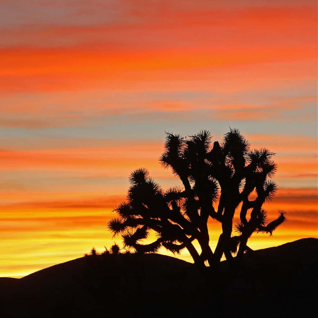 National Parks near Phoenix | Park Ranger John