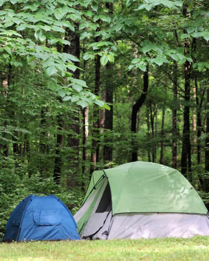 Park Ranger John | National Park Guides written by a Park Ranger ...