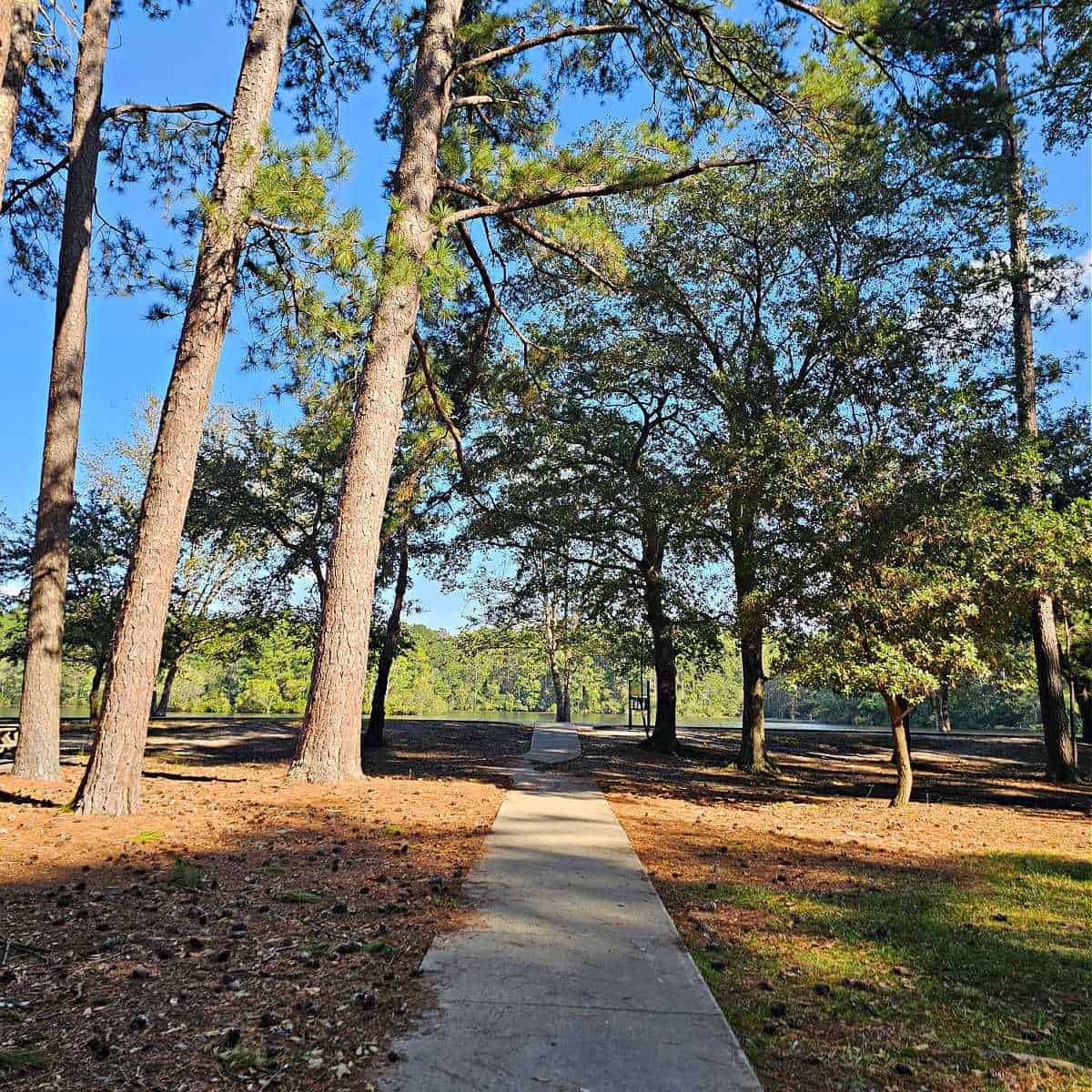 Sesquicentennial State Park in Columbia South Carolina | Park Ranger John