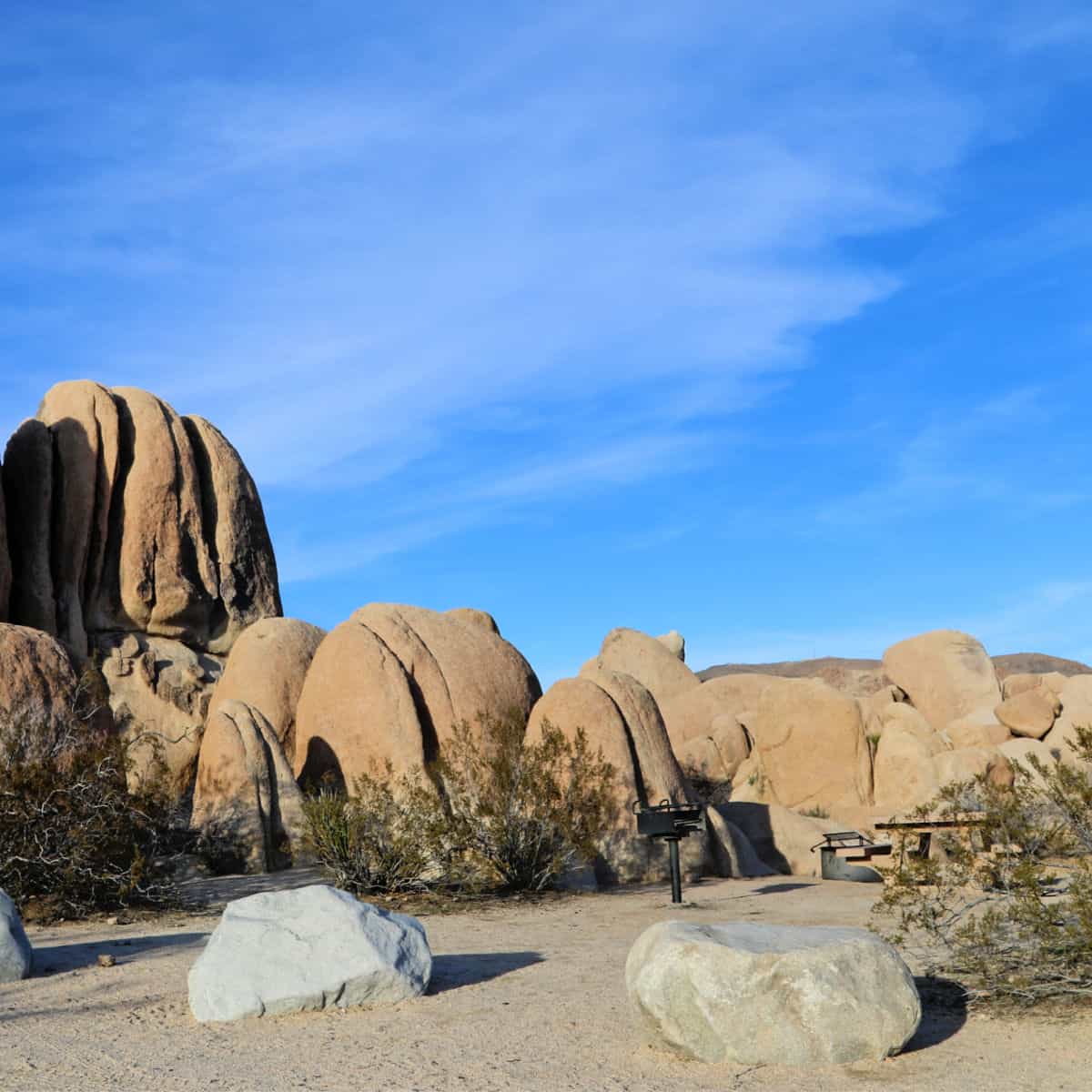 Complete Guide to Joshua Tree National Park | Park Ranger John