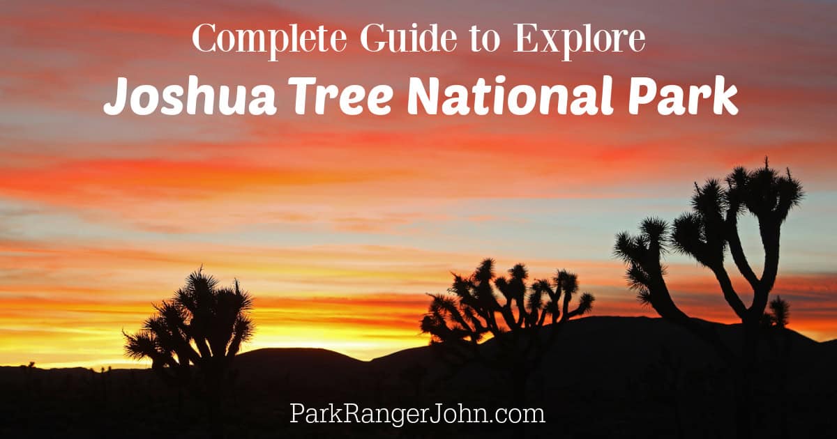 Complete Guide to Joshua Tree National Park | Park Ranger John