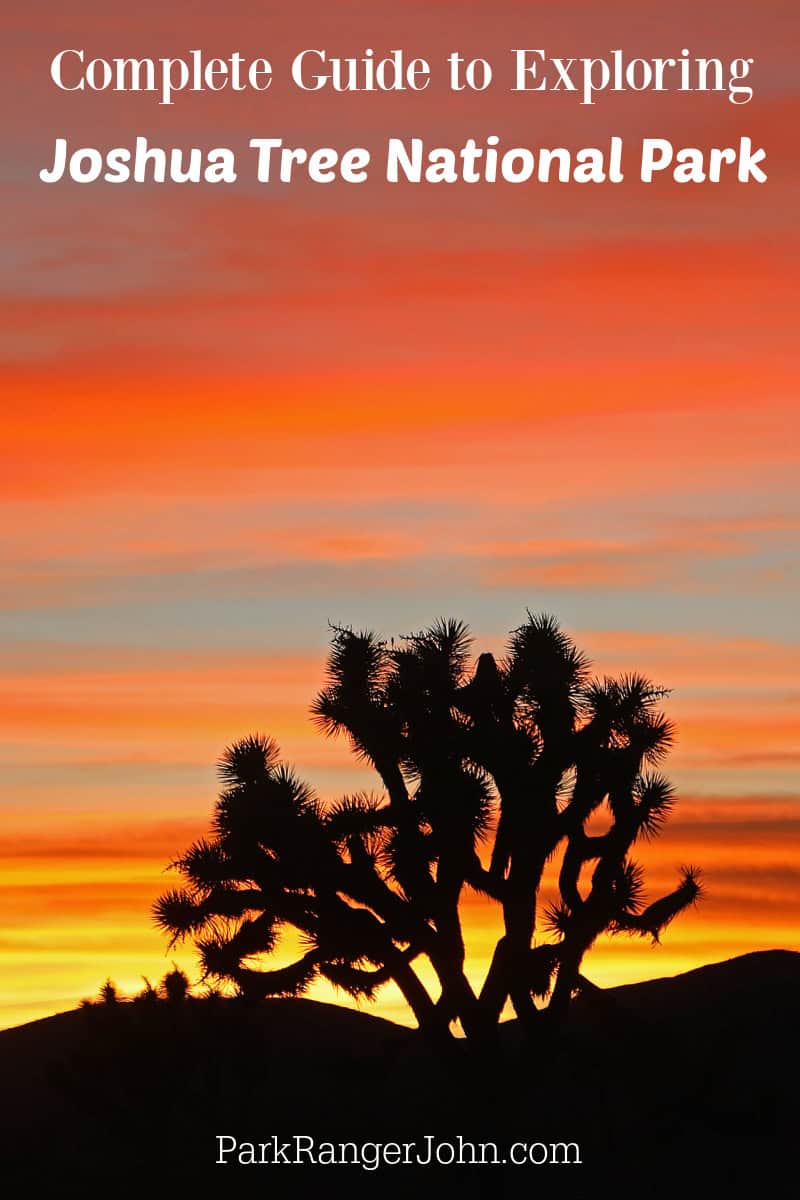 Complete Guide to Joshua Tree National Park | Park Ranger John