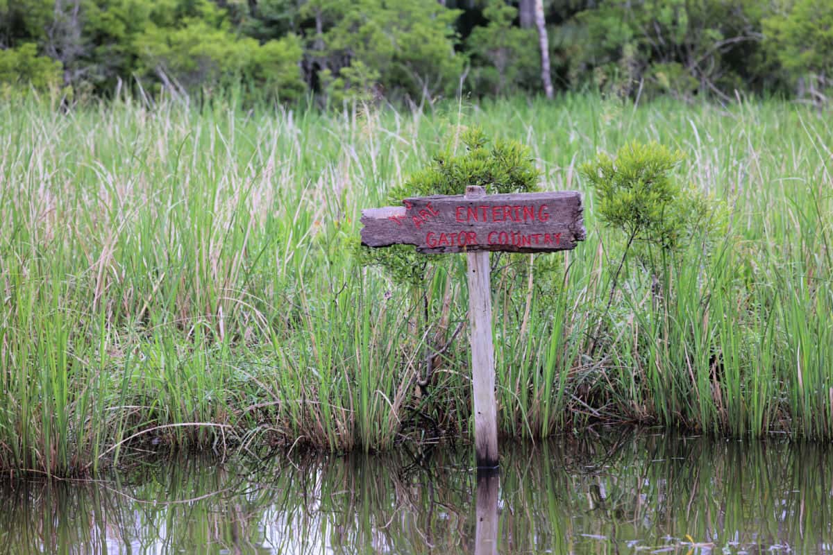 Jean Lafitte Swamp Tour | Park Ranger John