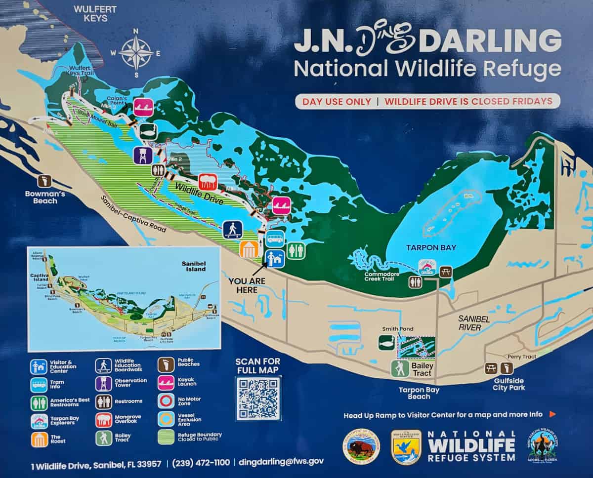 JN Ding Darling National Wildlife Refuge | Park Ranger John