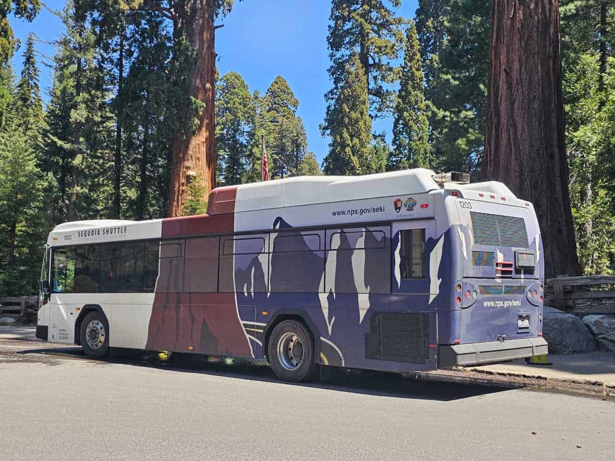 California National Parks Road Trip to Sequoia, Kings Canyon ...