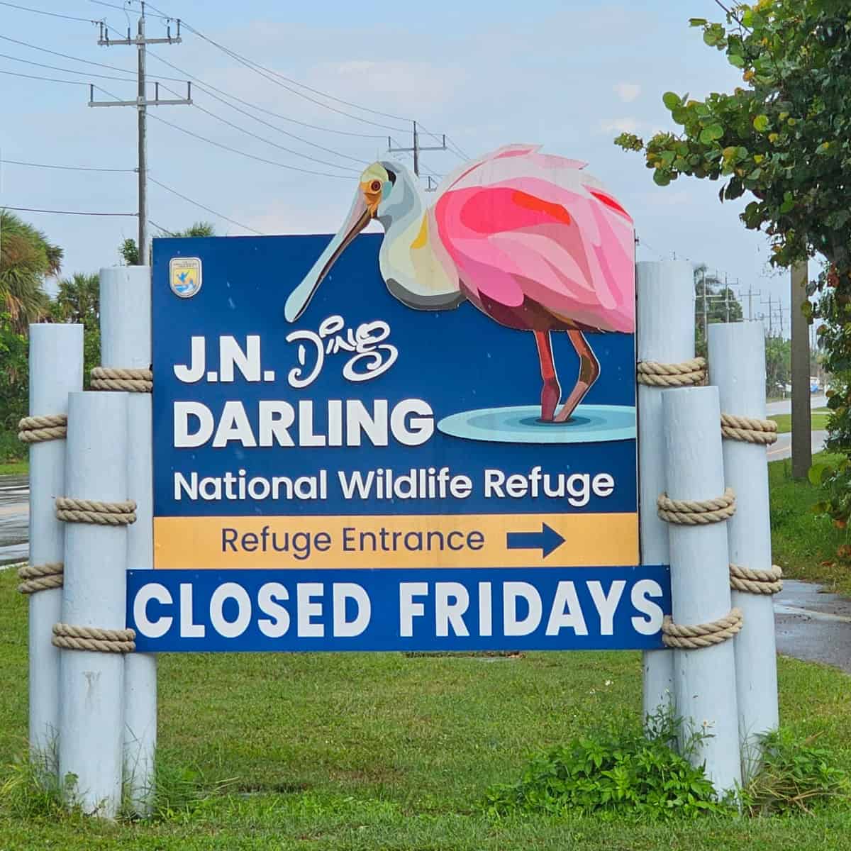 JN Ding Darling National Wildlife Refuge | Park Ranger John