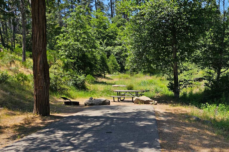 Spring Cove Campground - Bass Lake, California | Park Ranger John