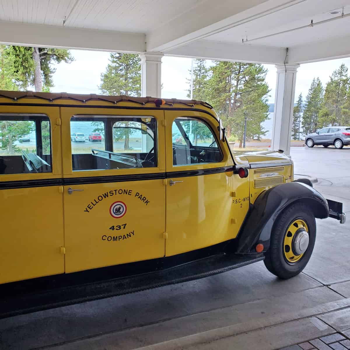 Yellowstone National Park Tours | Park Ranger John
