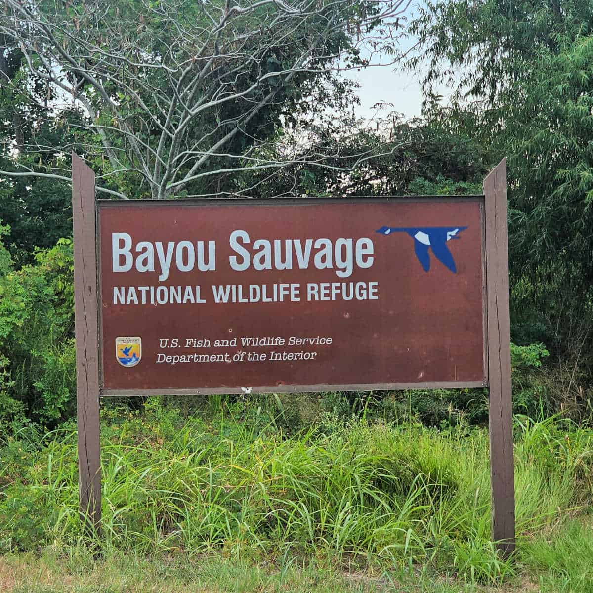 Bayou Sauvage Urban National Wildlife Refuge - Louisiana | Park Ranger John