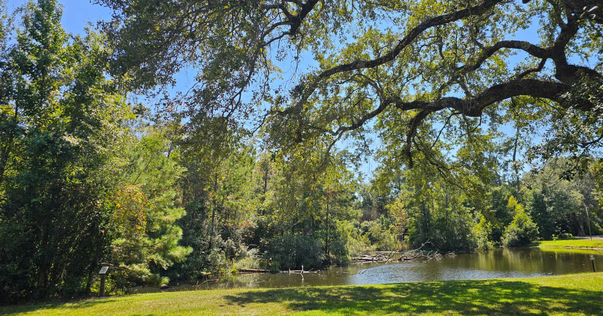 Big Branch Marsh National Wildlife Refuge - Louisiana | Park Ranger John